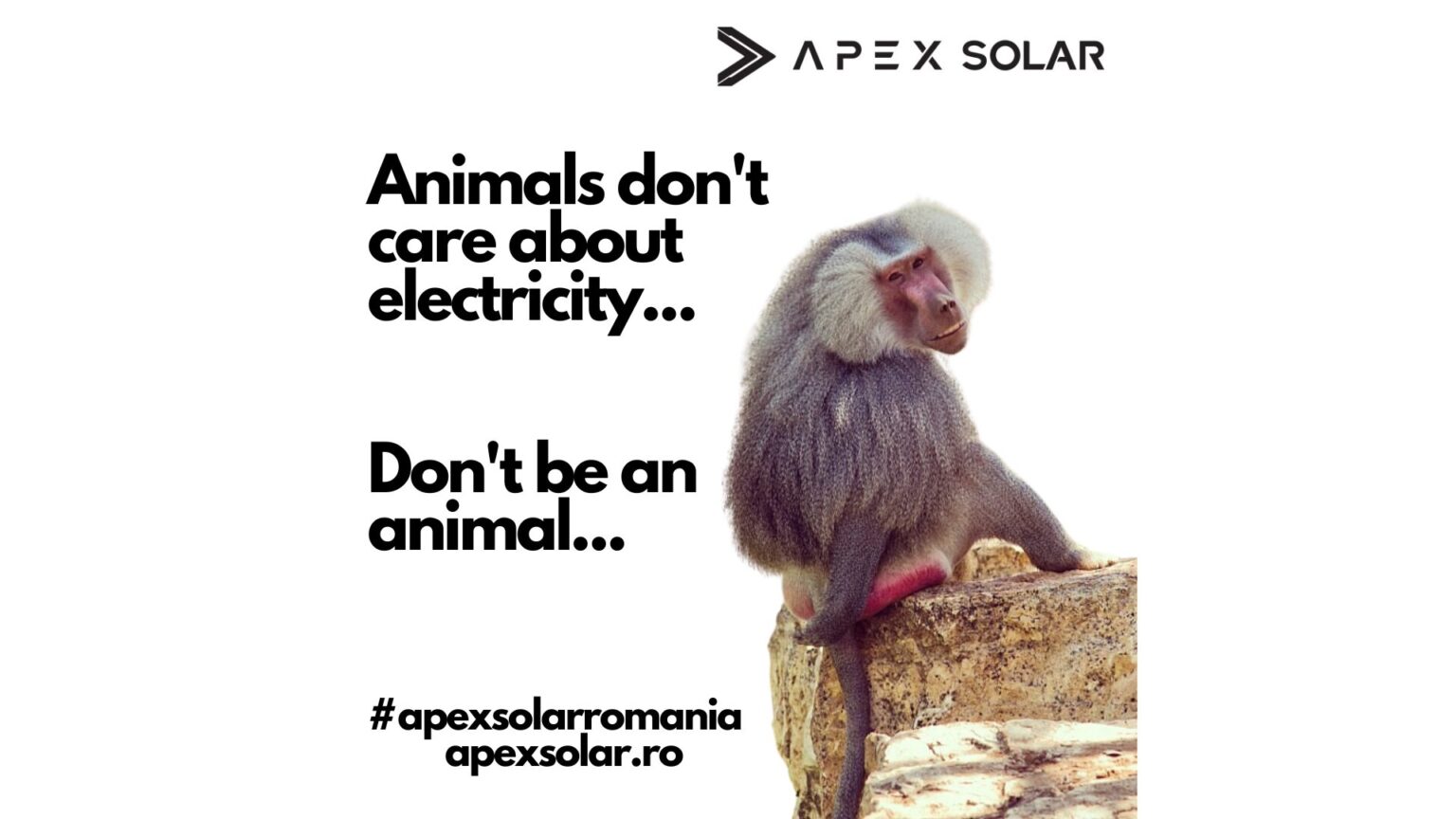 Apex Solar Romania - Apex Official Shop